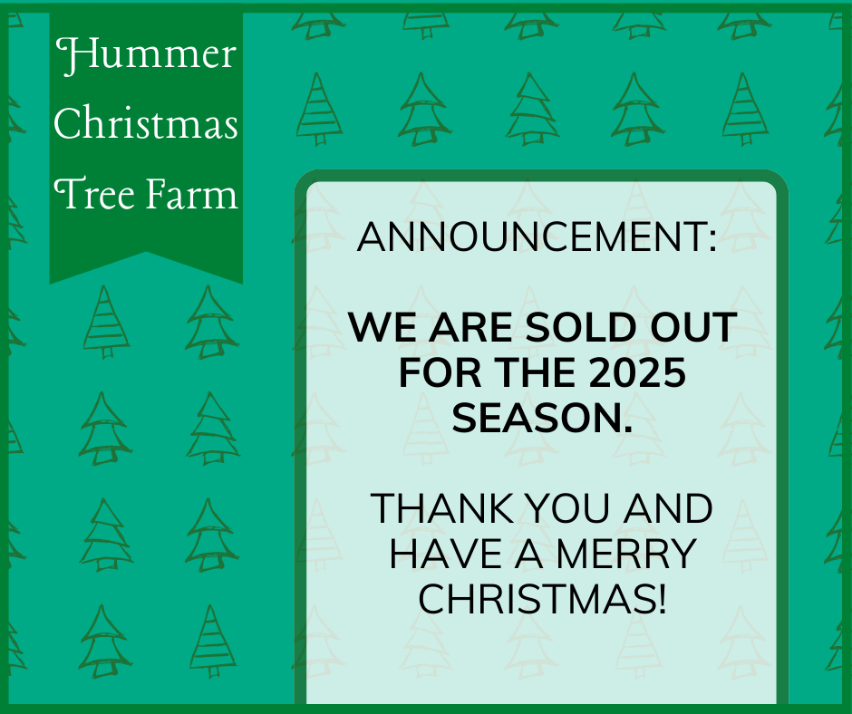 Sold out for 2025 – Hummer Christmas Tree Farm